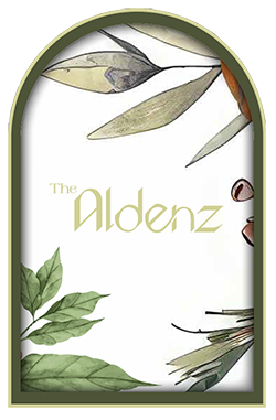 The Aldenz | 360 Dynamics Interactive VR